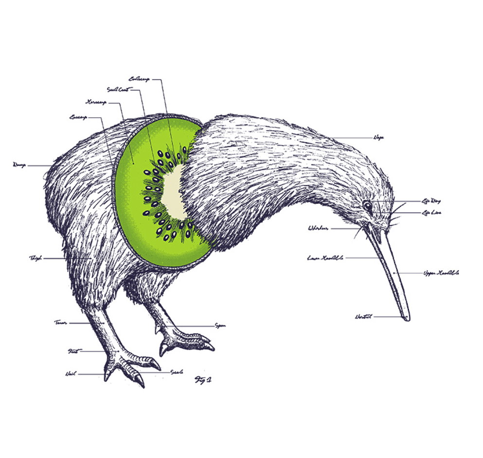 Canon-Flouting Kiwis; Or, Why It’s a Different Religion – Whispers of ...
